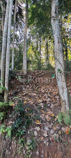 68 Perch Land for Sale in Nugasewanagama, Haliela | ikman