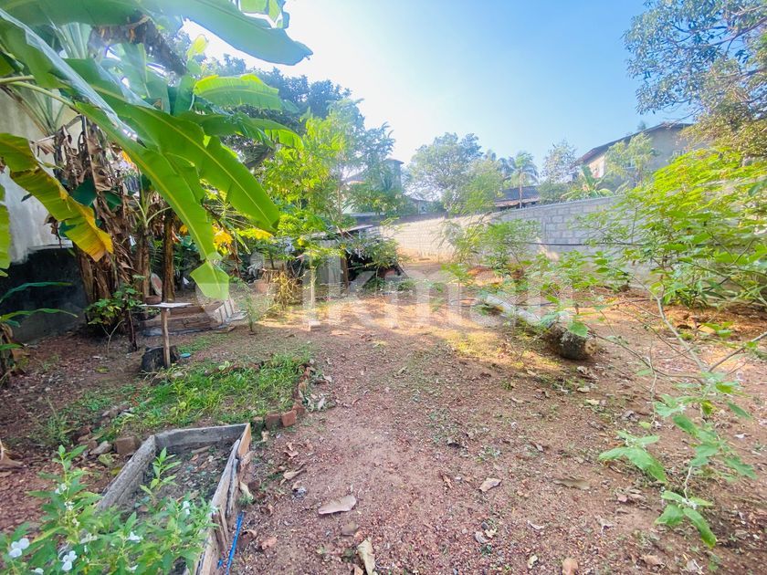 6P Superb High Elevated Land – Walking Distance to Main Rd, Koswatta ...