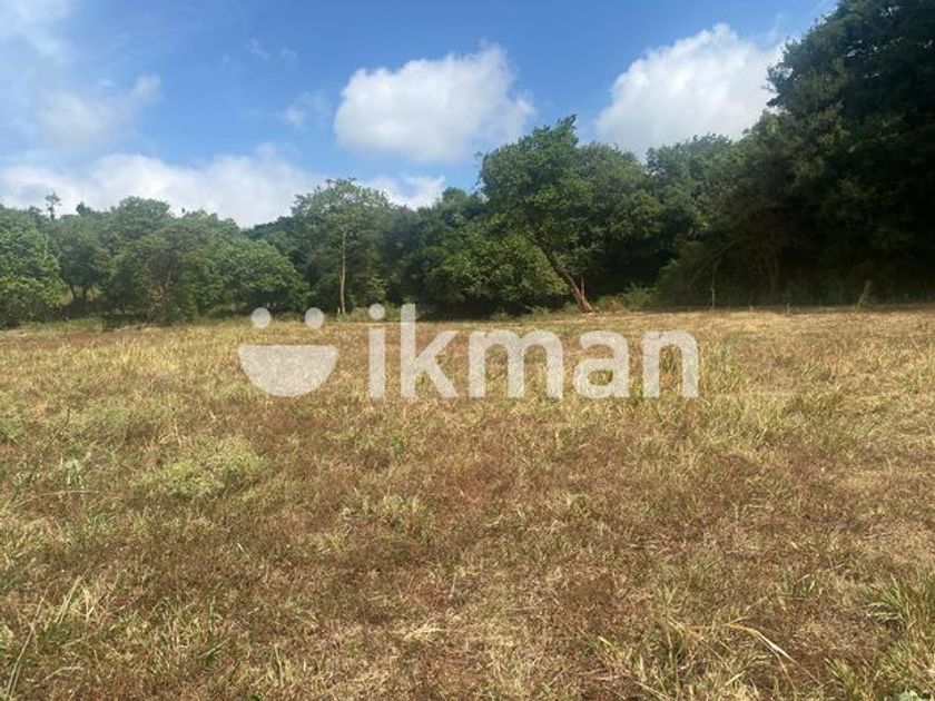 7 Acres Land For Sale In Dambulla | ikman