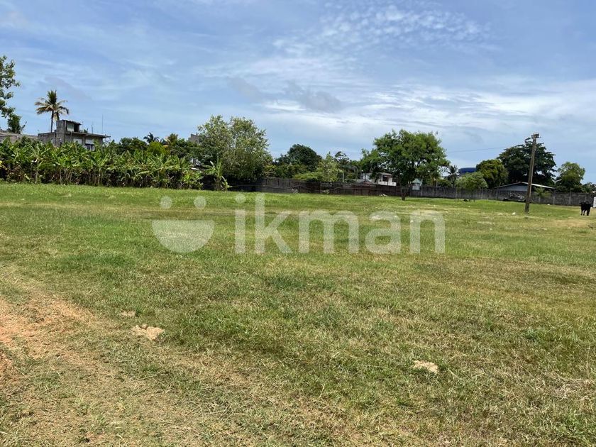 7 Acres Land Sale in Ratmalana | ikman