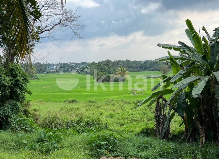 81 Perch Land for Sale Koswatta | ikman