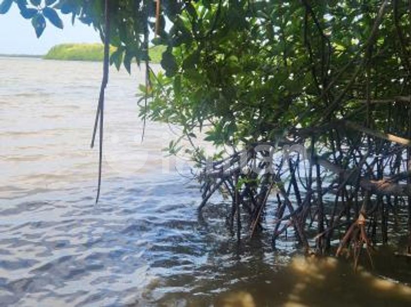 82 Perch Lagoon front land in Negombo Town | ikman