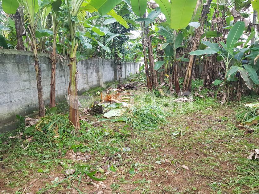 9.50P Residential Bare Land For Sale In Angoda | ikman
