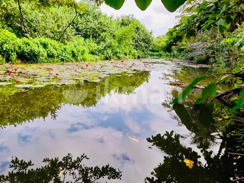 (af39) Water Front Facing 15P Land for Sales Ethulkotte | ikman