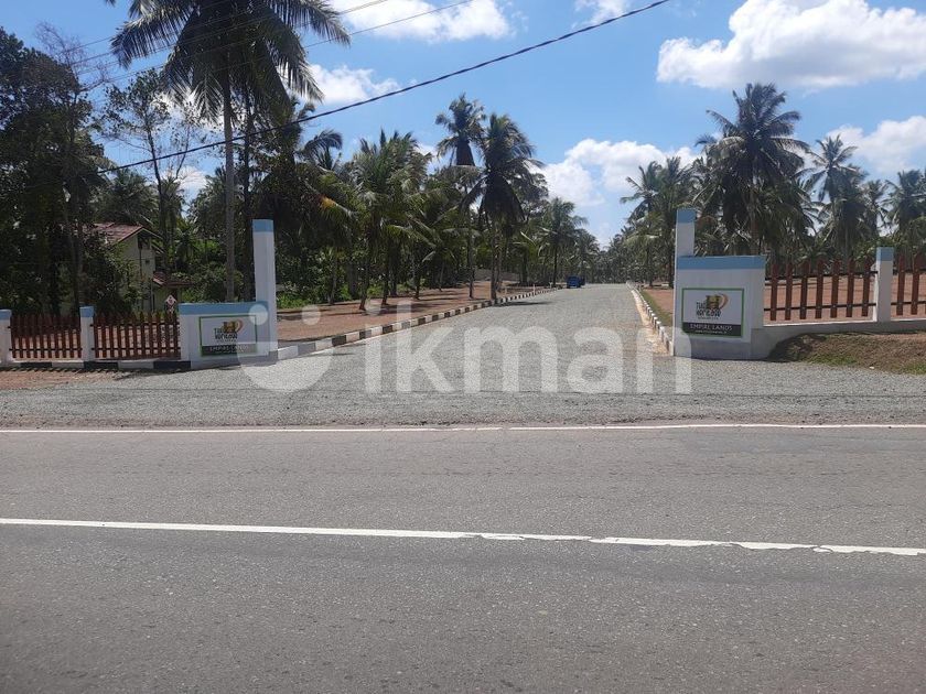 අගනා නේවාසික බිම් කොටස් වෙල් යායකට මුහුණලා Mirigama | ikman