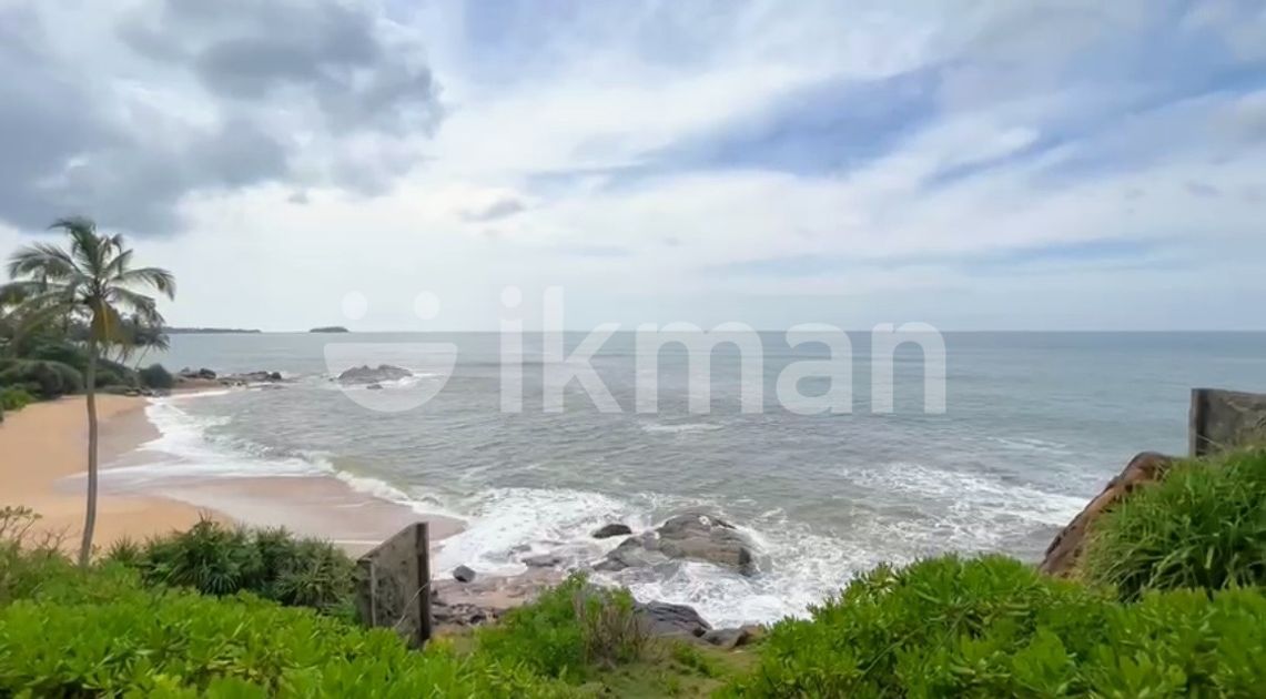 (AP91) Beach Facing 44 P Land Sale at Maggona Kalthara | ikman