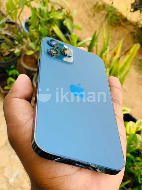 Apple iPhone 12 Pro Max 256GB (Used) | ikman