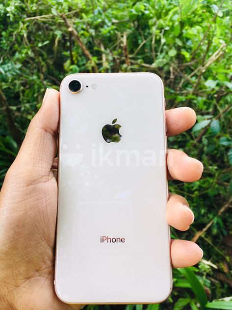 Apple iPhone 8 (Used) | ikman