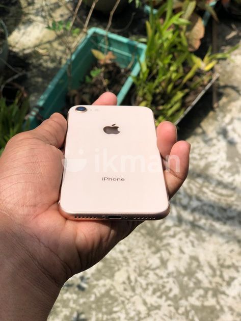 Apple iPhone 8 (Used) | ikman