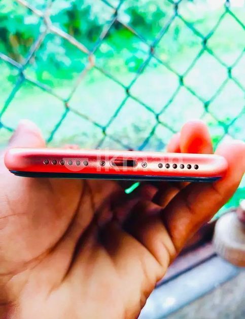 Apple iPhone XR (Used) | ikman