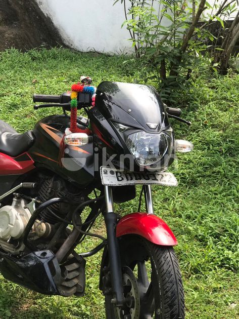 Bajaj Pulsar 150 2016 for Sale in Kandy City | ikman