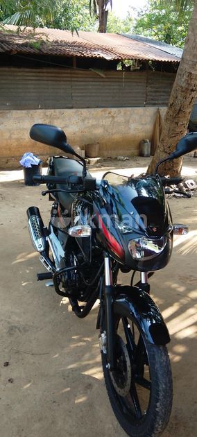 Bajaj Pulsar 150 2011 for Sale in Jaffna City | ikman