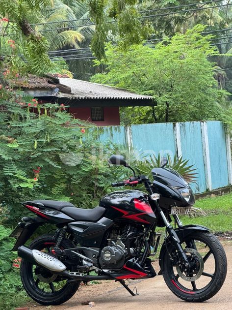 Bajaj Pulsar 150 2020 for Sale in Batticaloa City | ikman
