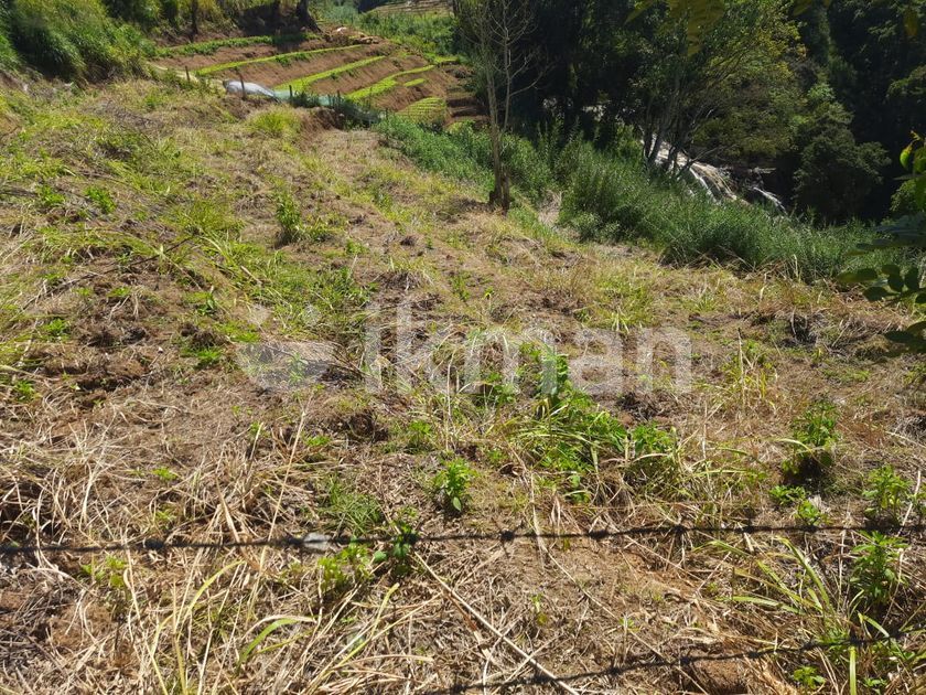 Bandarawela : 74 perches Faddy field for Sale | ikman