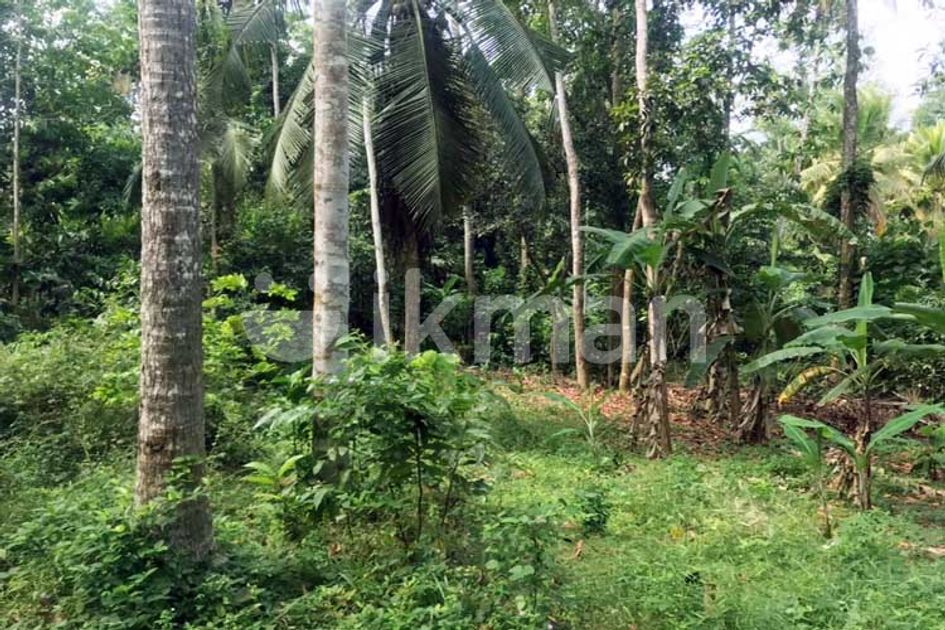 Bare Land for Sale at Balummahara, Gampaha. | ikman