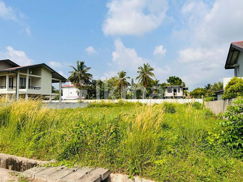 Bare Land For Sale In Negembo (Gated Community) Ref ZL506 | ikman