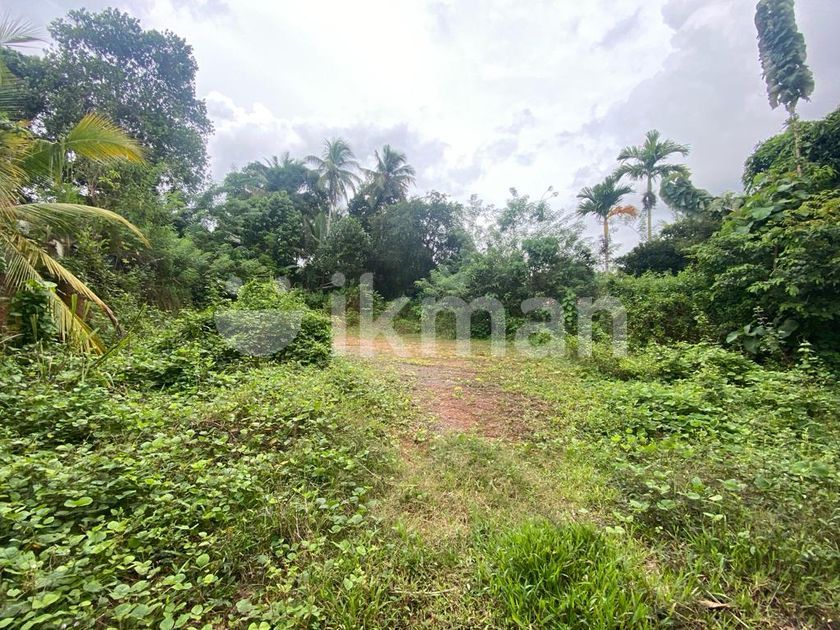 Bare Land With Modern Type House Plan in Kamburugamuwa | ikman