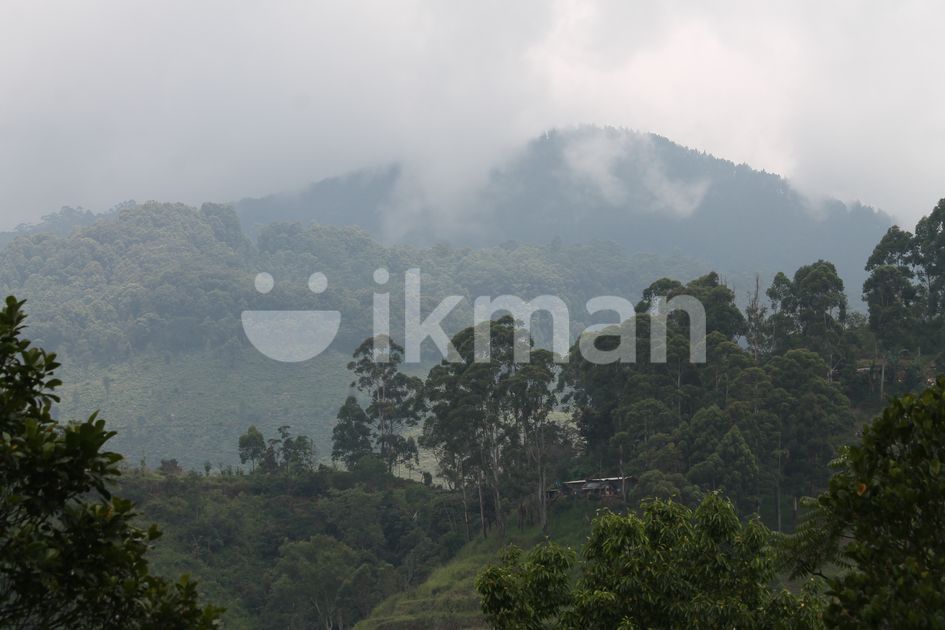 Beautiful hotel land in Haputale | ikman
