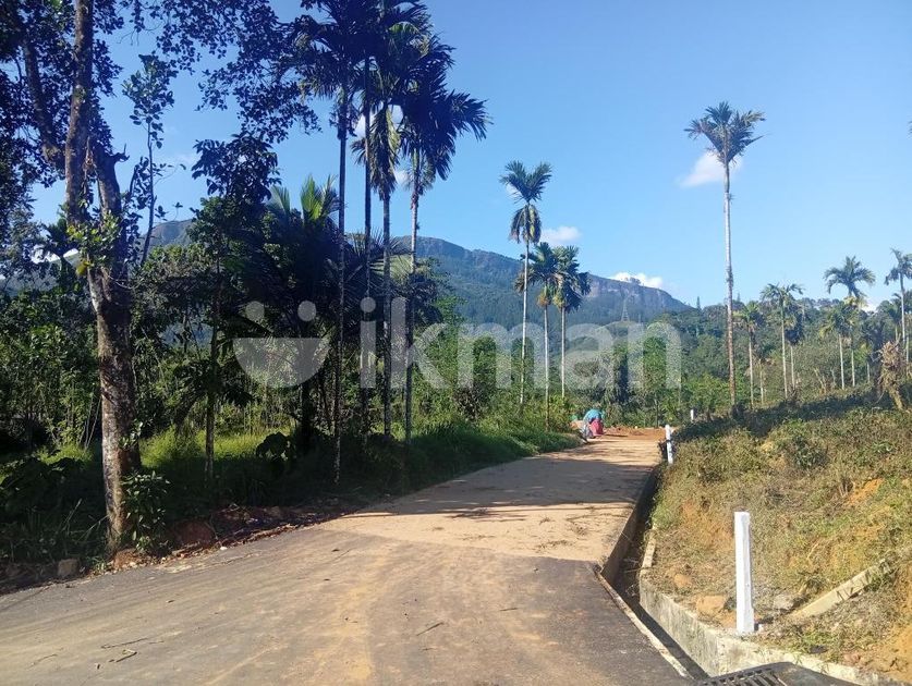 Beautiful land in nawalapitiya | ikman