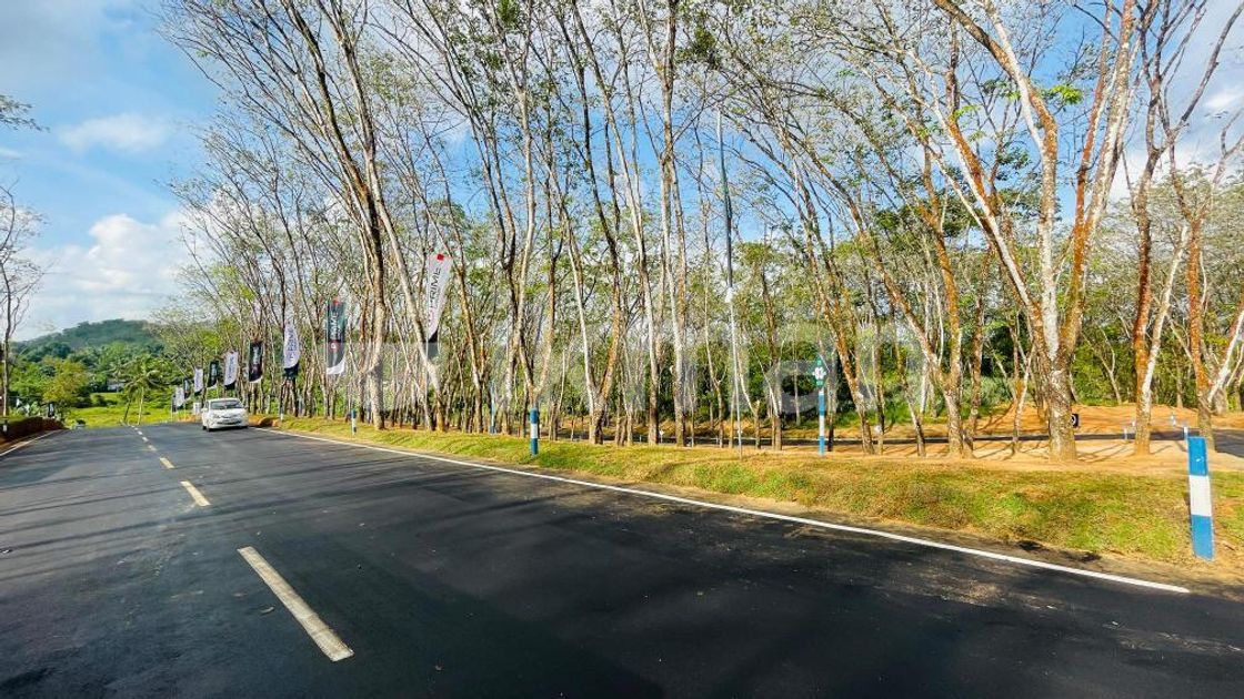 Beruketiya Lush Dale Land Project Plots For Sale | ikman