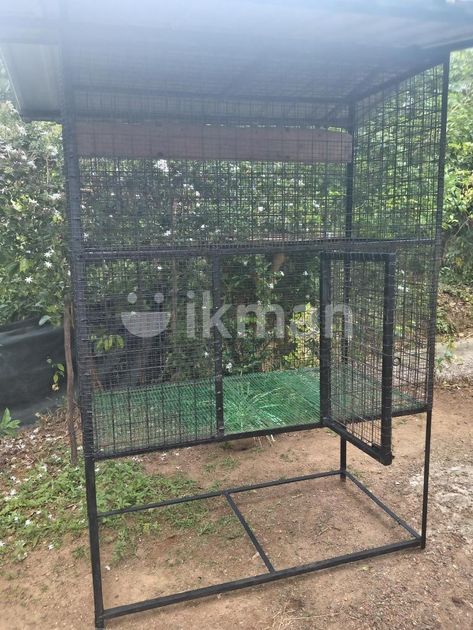 Bird Cage for Sale in Batapola | ikman