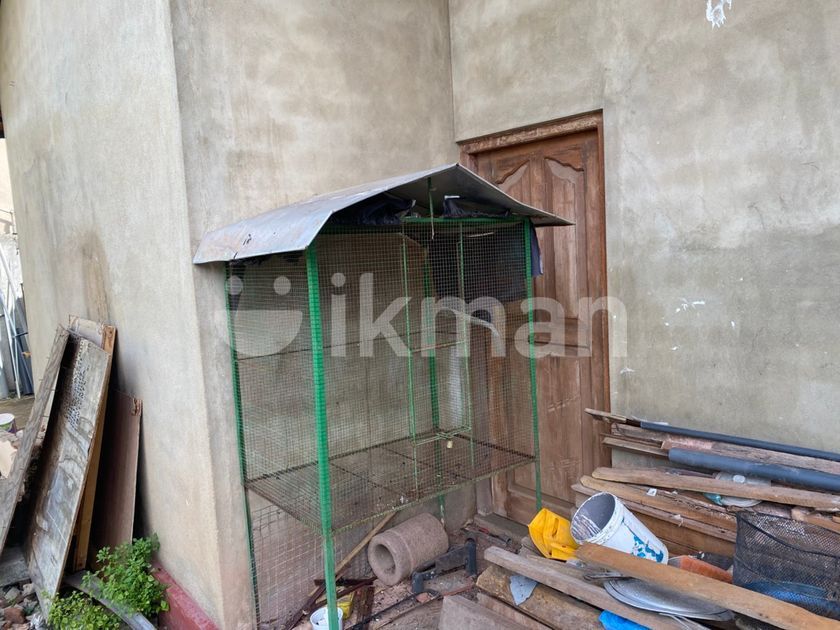Bird Cage for Sale in Negombo | ikman