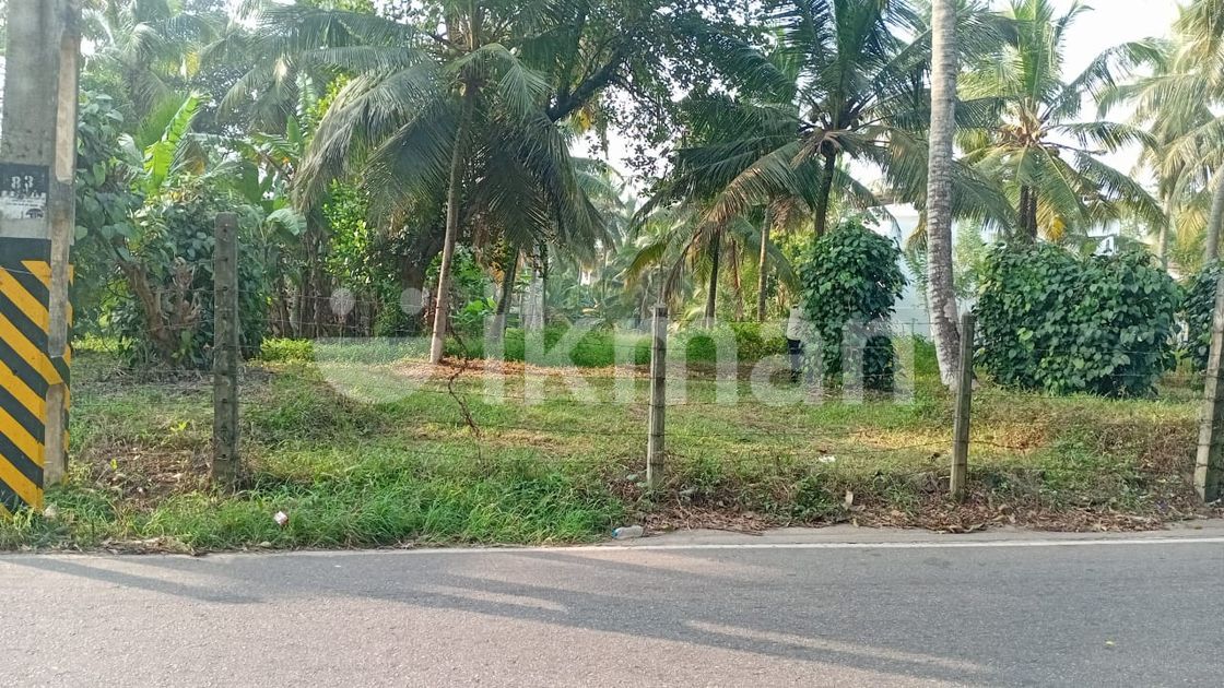 Boralasgamuwa : 40 perches Bare Land for rent | ikman