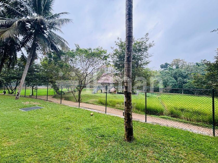 BRAND NEW DIRECT PADDY VIEW FACING 3BR ARIYANA RESORT APARTMENT FOR ...