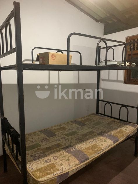 Bunker Bed Damro for Sale | Kandy City | ikman