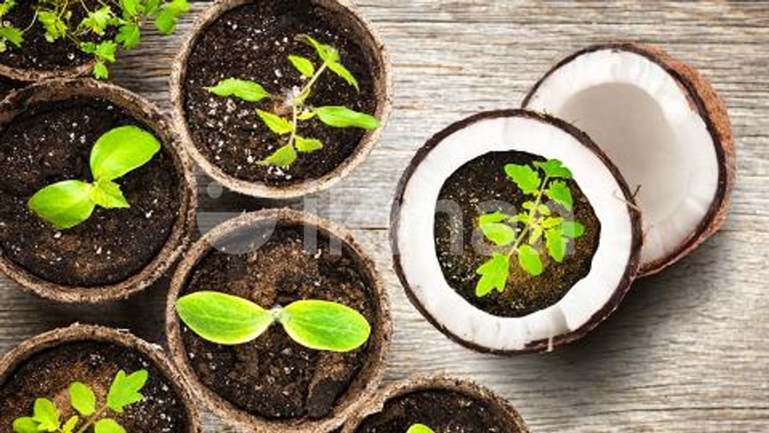 Coco Coir in Kekirawa | ikman