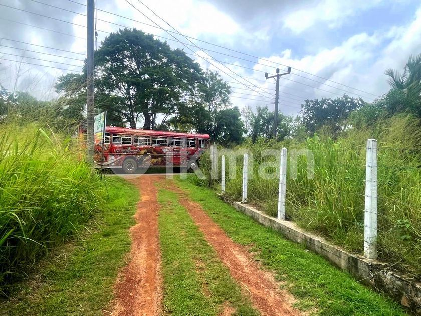 Coconut Grown Land Facing BUs Rd Anamaduwa - Putlam District | ikman