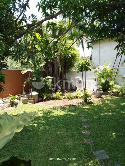 Colombo 3 Land 6p for Sale | ikman