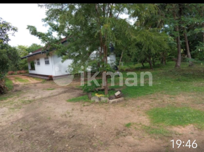 Dabulla Commercial Land for Sale ( RS - 523 ) | ikman