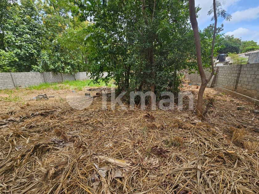 Dambulla : 39.1 Perches Land for Sale | ikman