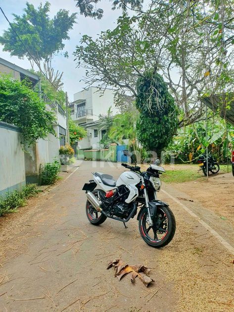 Demak Warrior 2020 in Nugegoda | ikman