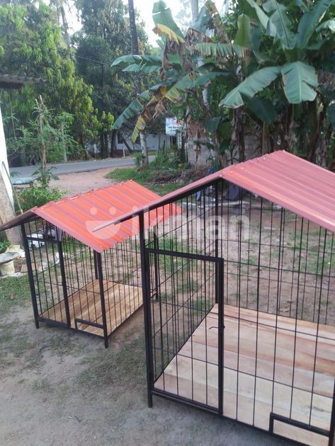 Dog Cage Solution | Colombo 6 | ikman