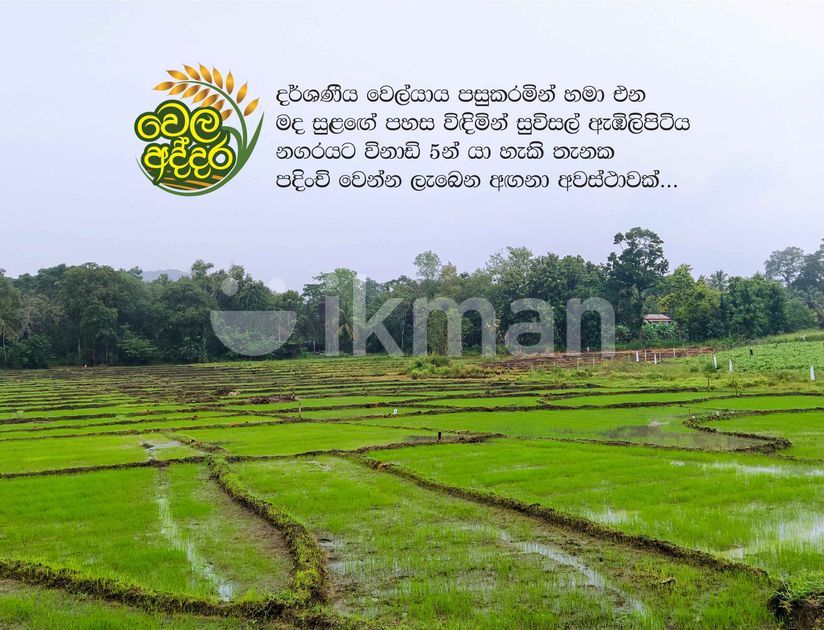 Embilipitiya - 10p බිම් කොටස් විකිණීමට | ikman