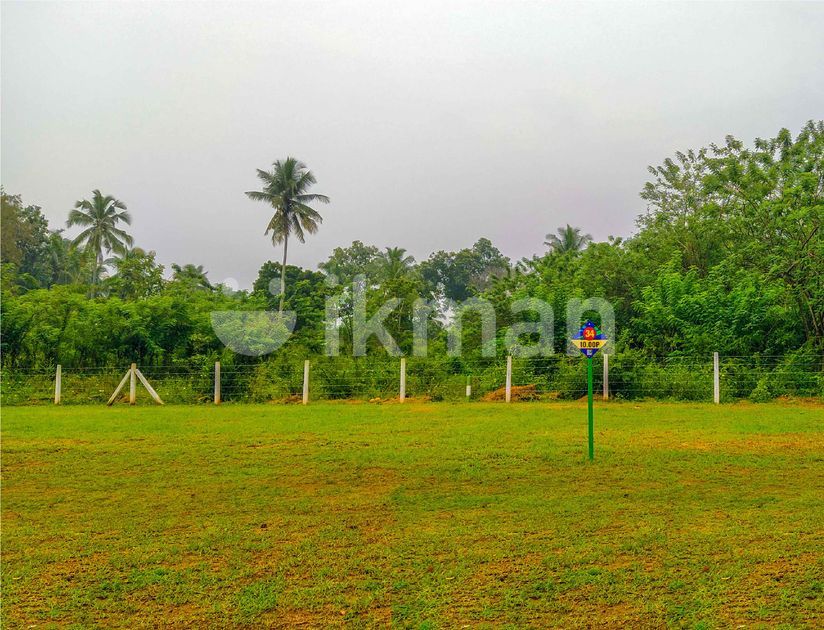 Embilipitiya - අගනා බිම් කොටස් 10P | ikman