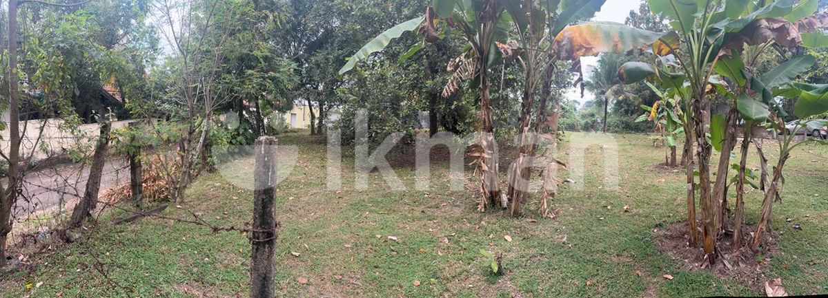 Embuldeniya, Valuable 16 Perches Land with a wide frontage for Sale | ikman
