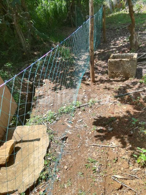 Farming Nets in Akurana | ikman