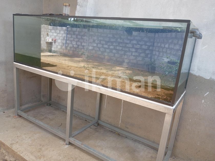 Fish Tank for Sale in Badulla City | ikman