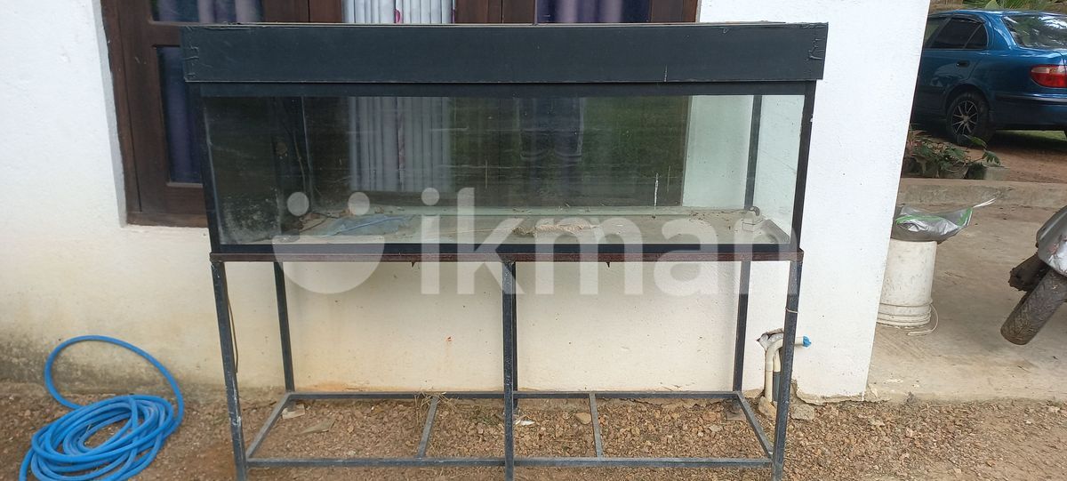 Fish Tank with Stand for Sale in Gampaha City | ikman