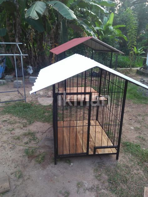 Fully Completeda Dog Cage | Seeduwa | ikman