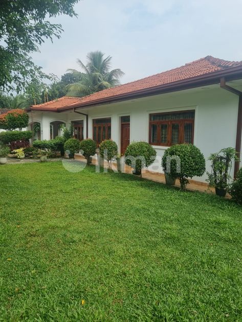 Gampaha : 5BR (87P) Luxury House for Sale in Yakkala. | ikman