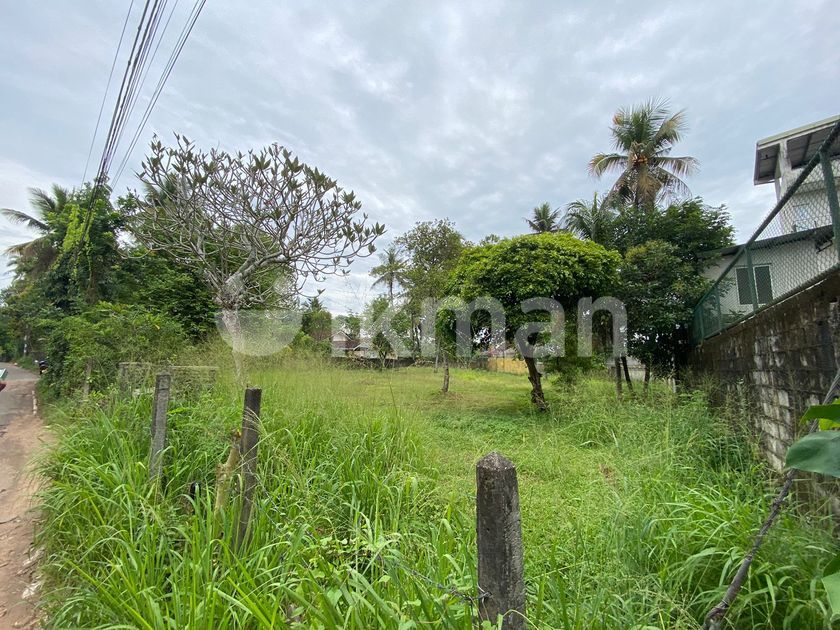 Gampaha Town : 35 perches commercial Land for Sale | ikman