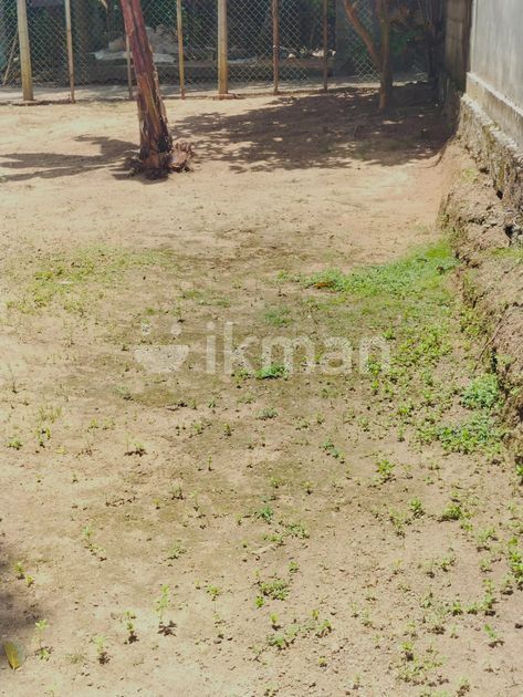 Ganemulla : 20.5 Perches Highly Residencel Land for Sale at Midellawita ...