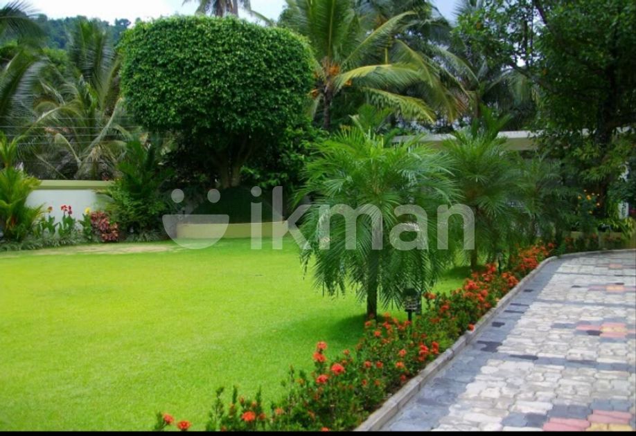 Garden Services Landscaping | Matale City | ikman