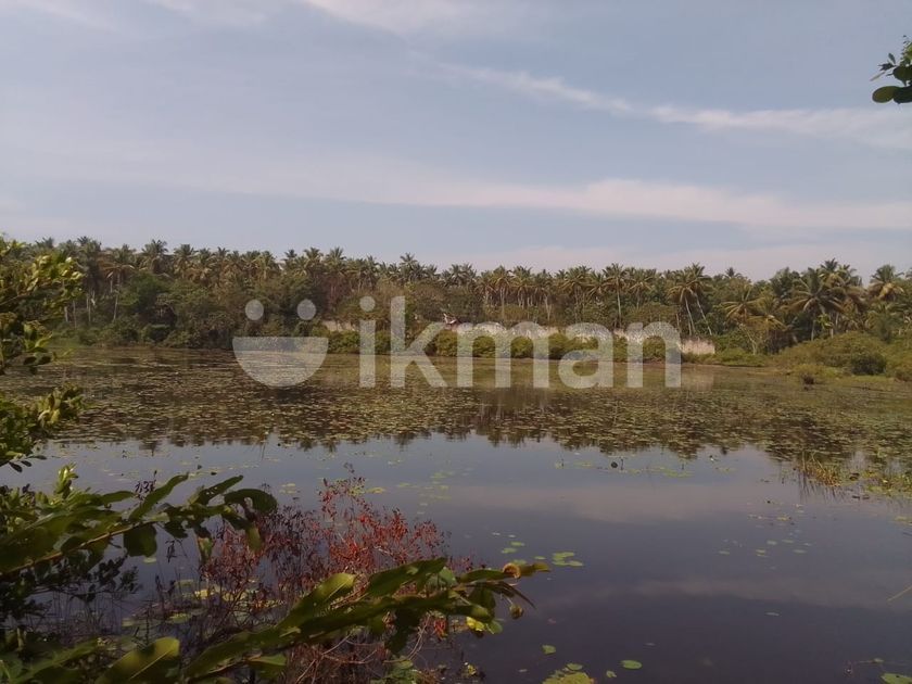 Giriulla : 640P Water Front Land for Sale with 6BR House in Pannala | ikman