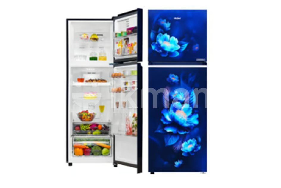 HAIER 240L Double Door Non-Inverter Refrigerator - Marine Carnation for ...