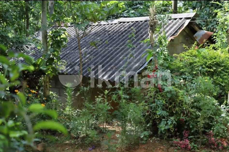 Half Build House for Sale in Galaha | ikman